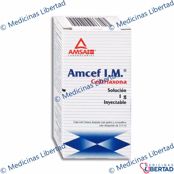 AMCEF 1GR IM SOLUCION INY C/1 3.5ML | Medicinas Libertad