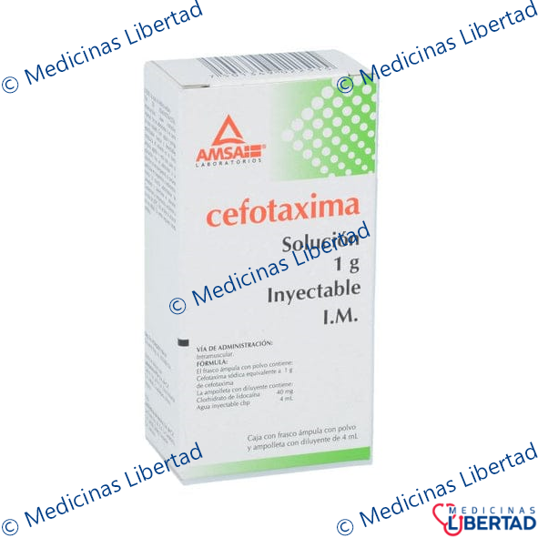 CEFOTAXIMA 1 G IM AMSA Solucion Inyectable C/1 pz | Medicinas Libertad
